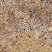 Formica Brand Laminate 077321246408000 Laminate, Butterum Granite ...
