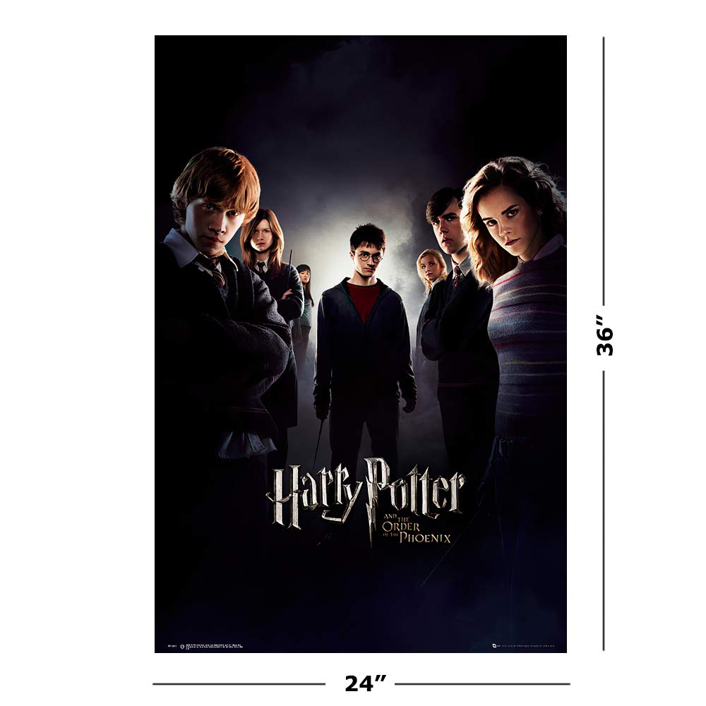Harry Potter Y La Orden Del Fenix Pelicula
