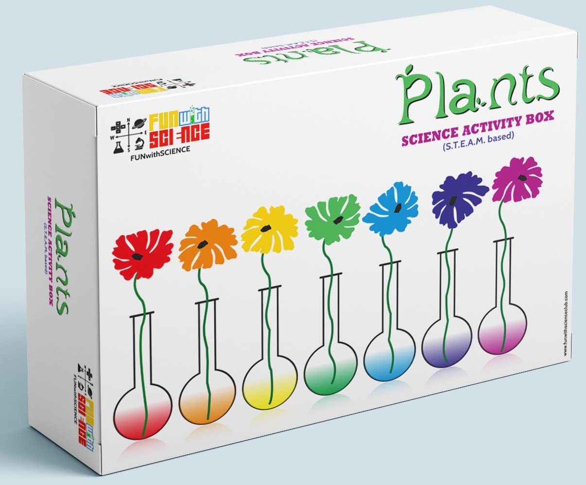 Capillary Action In Plants