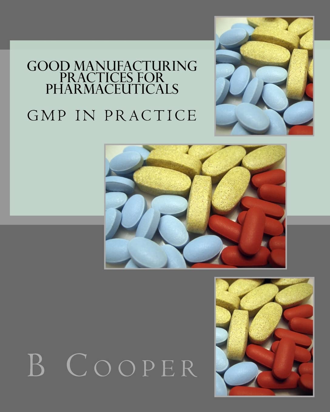 Good Manufacturing Practices for Pharmaceuticals: GMP in Practice ...