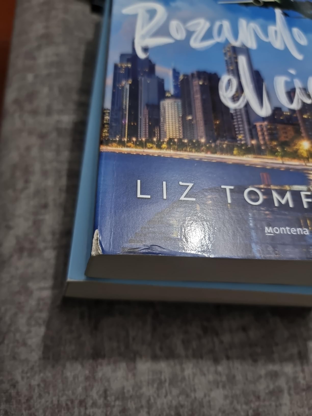 Rozando el cielo (Mile High) (La Ciudad de los Vientos 1): En el hockey y el amor, todo vale ...