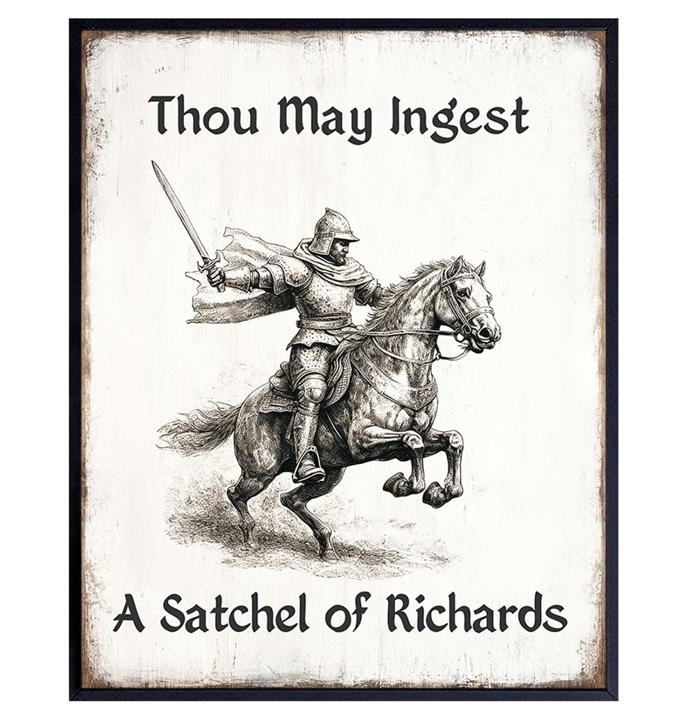 Amazon.com: Funny Wall Decor Medieval Art - Sarcastic Funny Gifts ...
