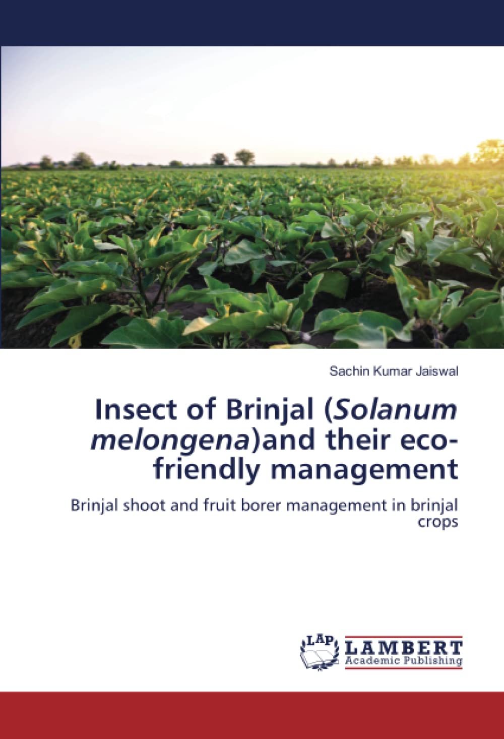 Buy Insect of Brinjal (Solanum melongena)and their eco-friendly ...