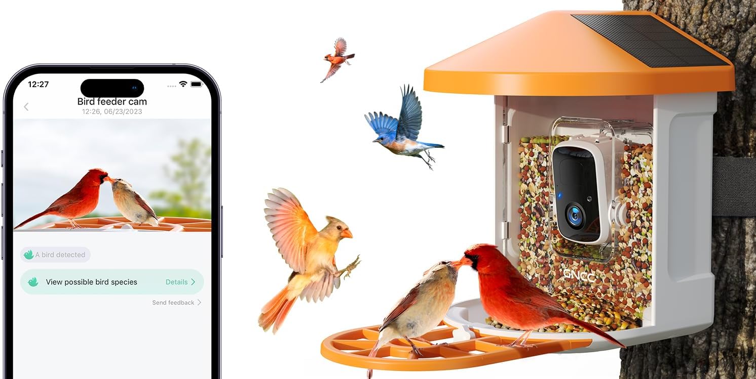 Amazon.com: GNCC Smart Bird Feeder with Camera, 1080P Solar Wild Bird ...