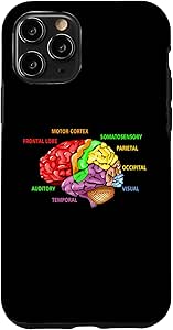 Amazon.com: iPhone 11 Pro Parts Of The Brain Anatomy Colorful Diagram ...