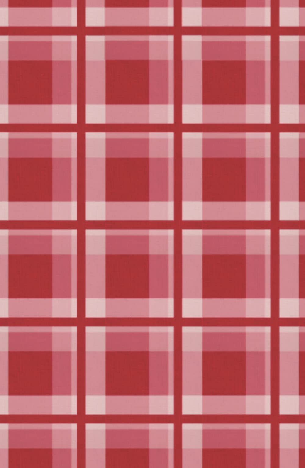 Red Plaid Diary (Anne Frank design): 5x8 Journal notebook 200 lined ...