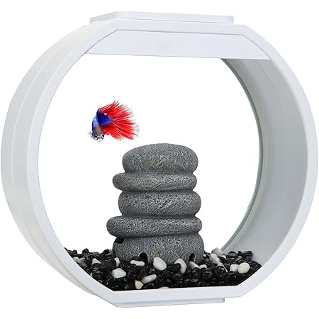 Fish R Fun Deco O Fish Tank White 20L : Amazon.co.uk: Pet Supplies