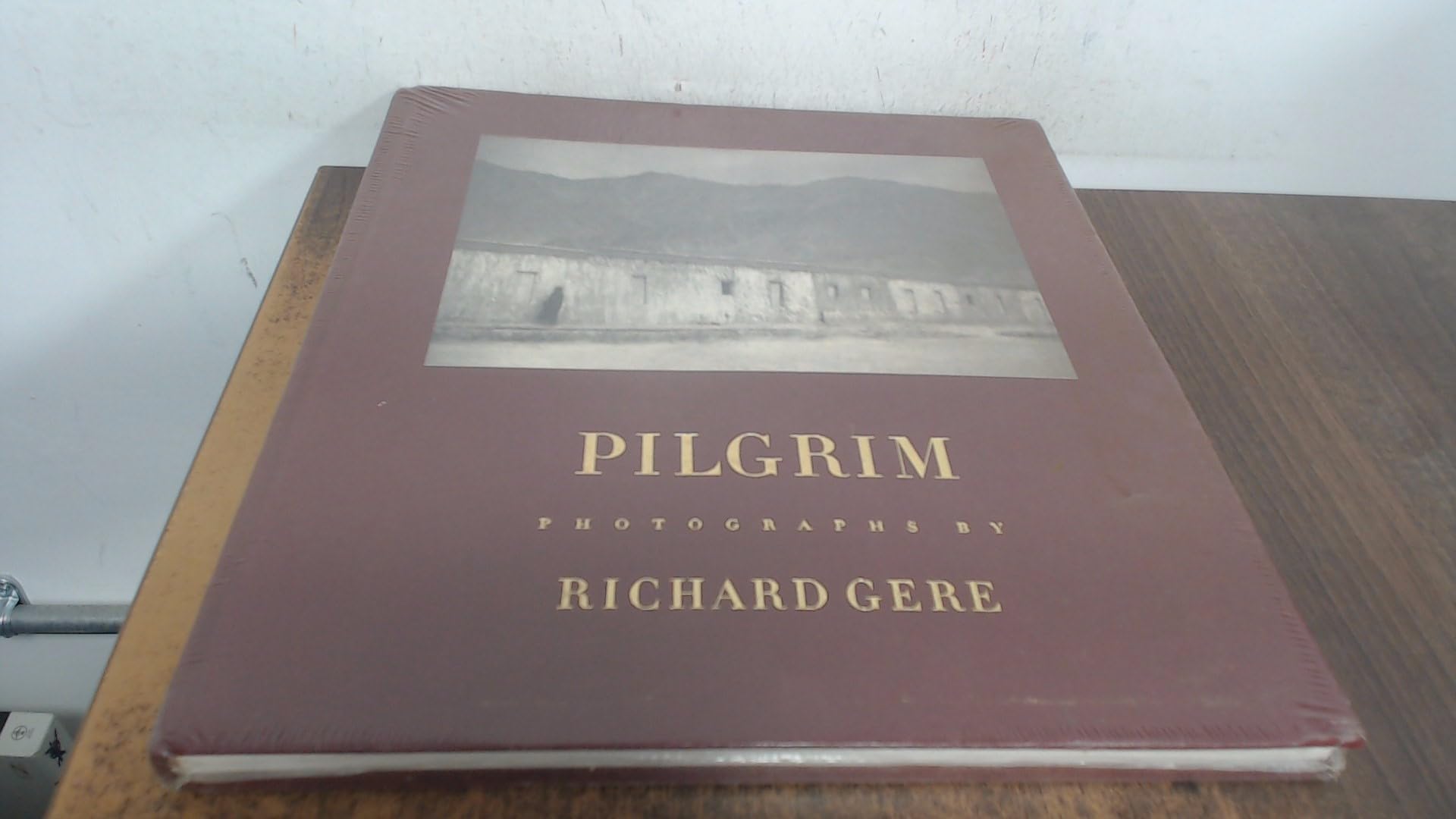 Pilgrim: Richard Gere, Dalai Lama: 9780821223222: Amazon.com: Books