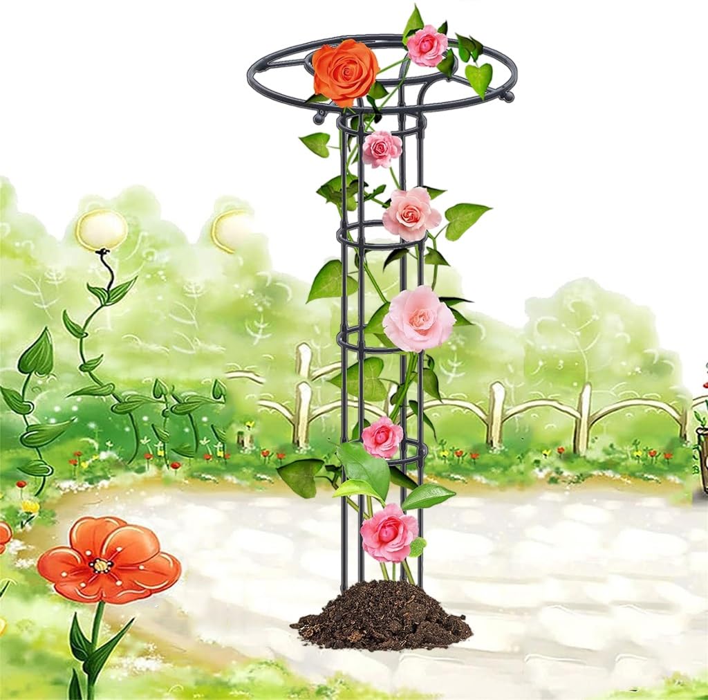 Umbrella Trellis Climbing Rose 15 Best Roses For Your Garden