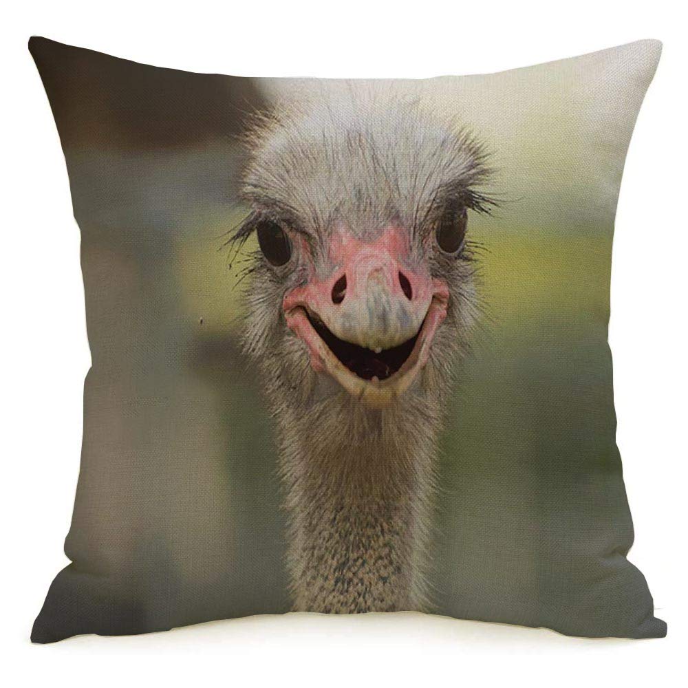 Smiling Emu