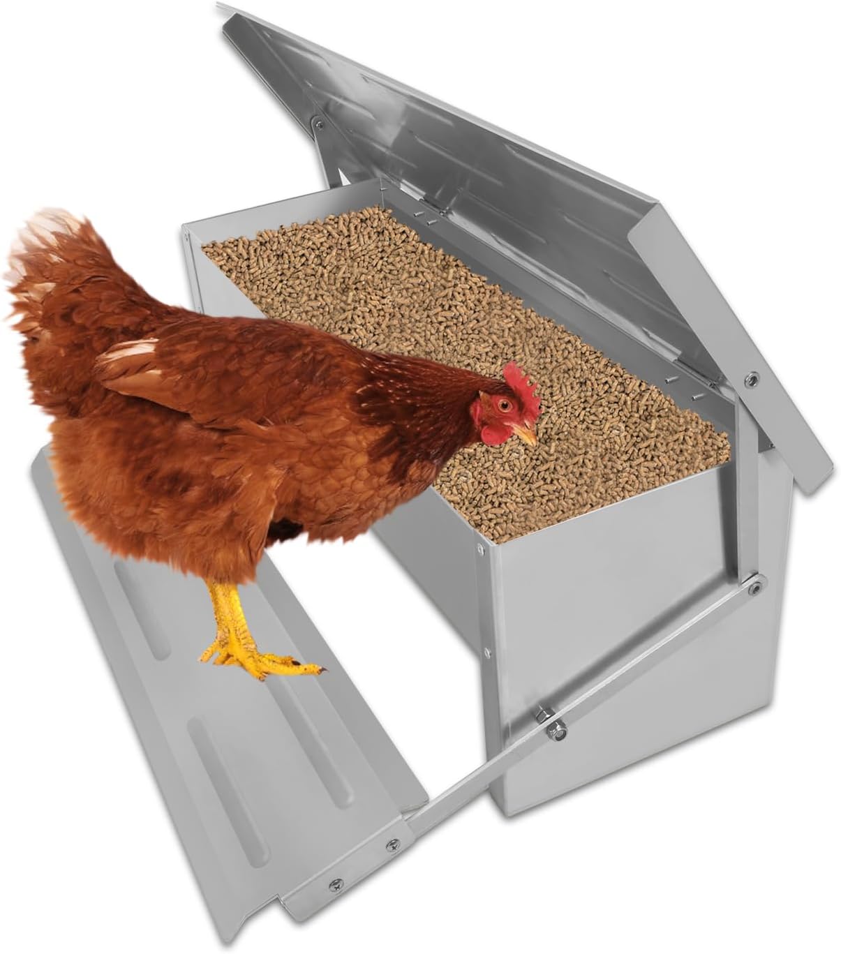 Amazon.com : Hooomyai Economical and Practical Automatic Chicken Feeder ...