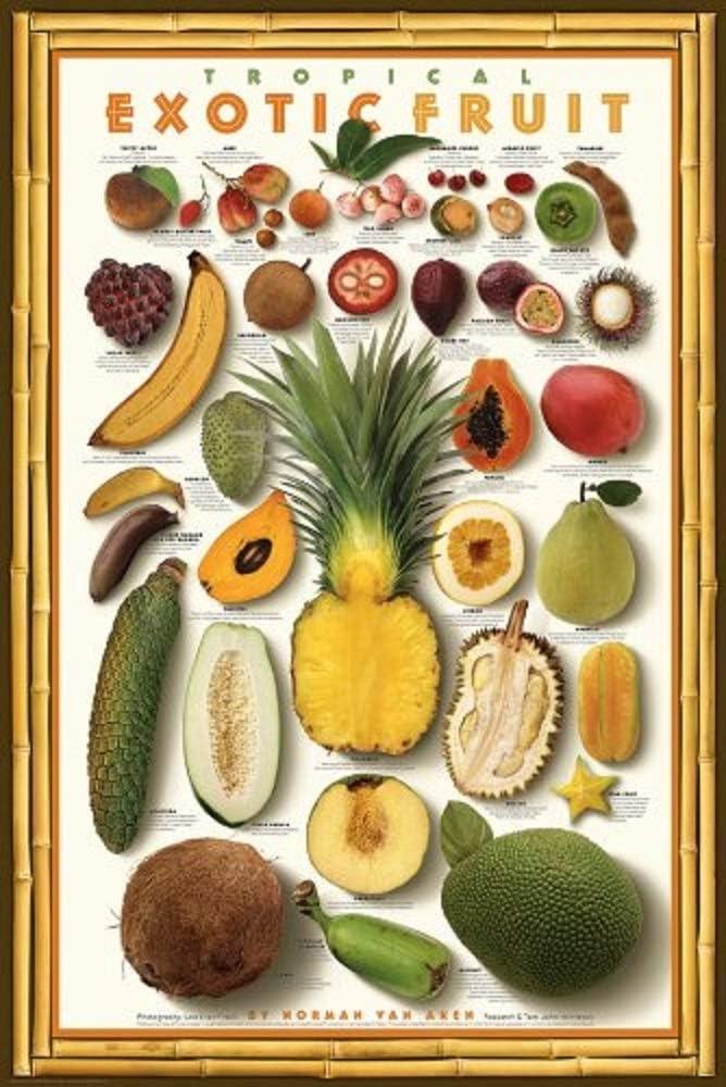 Amazon.com: Picture Peddler Tropical Exotic Fruit Mango Food Kitchen ...