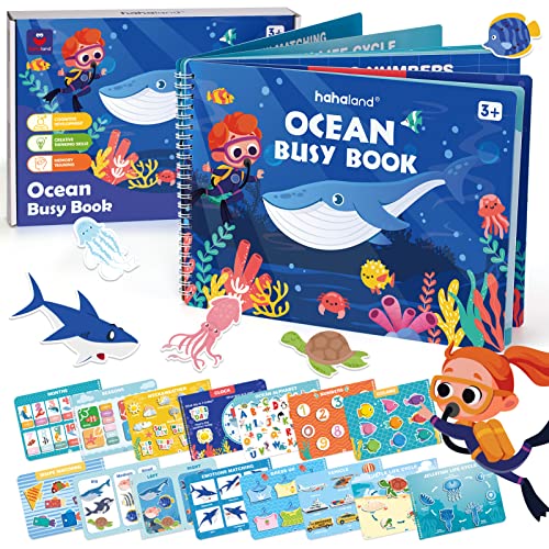 Amazon Best Sellers: Best Reading & Writing Development Toys