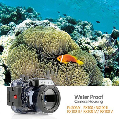 Buy Seafrogs Waterproof Case for Sony RX100 I II III IV V, Underwater ...