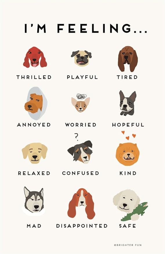 Amazon.com: Brighter Fun Feelings Chart: Dogs Children's Classroom ...