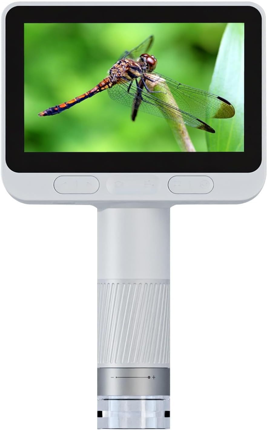 Amazon.com : Handheld Digital Microscope, 800X HD Digital Microscope ...