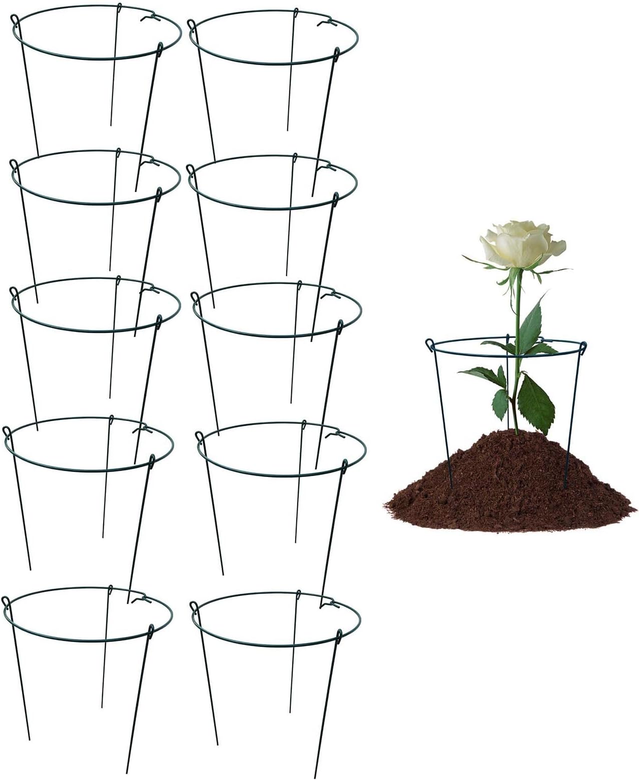 Amazon.com : 10" Wide x 16" High Peony Cage Rings Garden Plant Support ...
