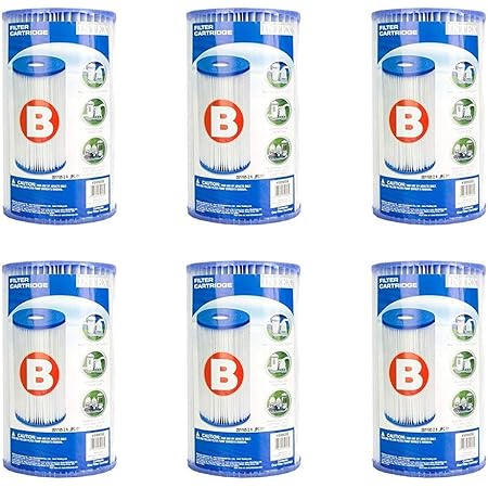 Amazon.com : Intex Corp Type B Pool Filter Cartridge (6pk) - 59905 ...