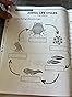 3rd Grade Science Workbook: Grade 3 Life Science, Ecosystems, Earth ...