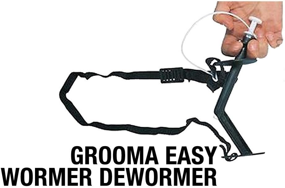 Amazon.com: Grooma Easy Wormer Drench Bit by Grooma : Pet Supplies