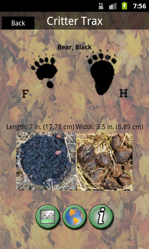 Critter Trax - Wild Animal Tracks and Scat - App on Amazon Appstore