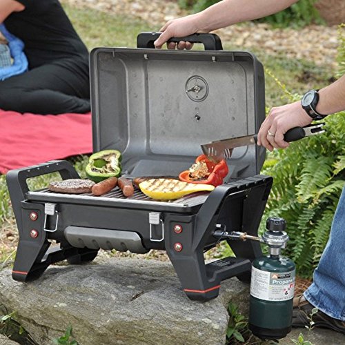 The Best Portable Gas Grills and Travel Propane Barbecues for 2024