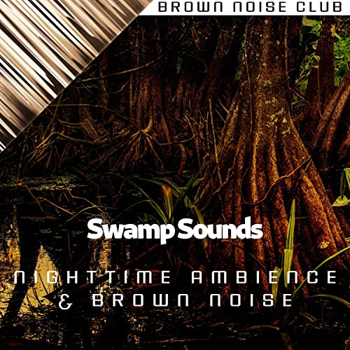 Swamp Sounds - Nighttime Ambience & Brown Noise, Loopable : Nature ...