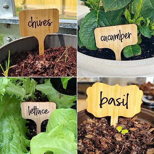 Amazon.com: 202Pcs Plant Labels, Herb & Plant Labels, Nursery Garden ...