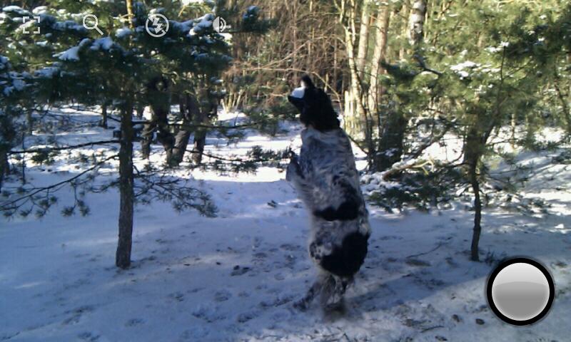 Fast Burst Camera:Amazon.co.uk:Appstore for Android