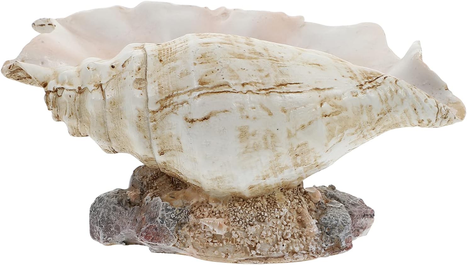 Amazon.com : BESPORTBLE Large Shells Resin Succulent Cactus Flower Pot ...