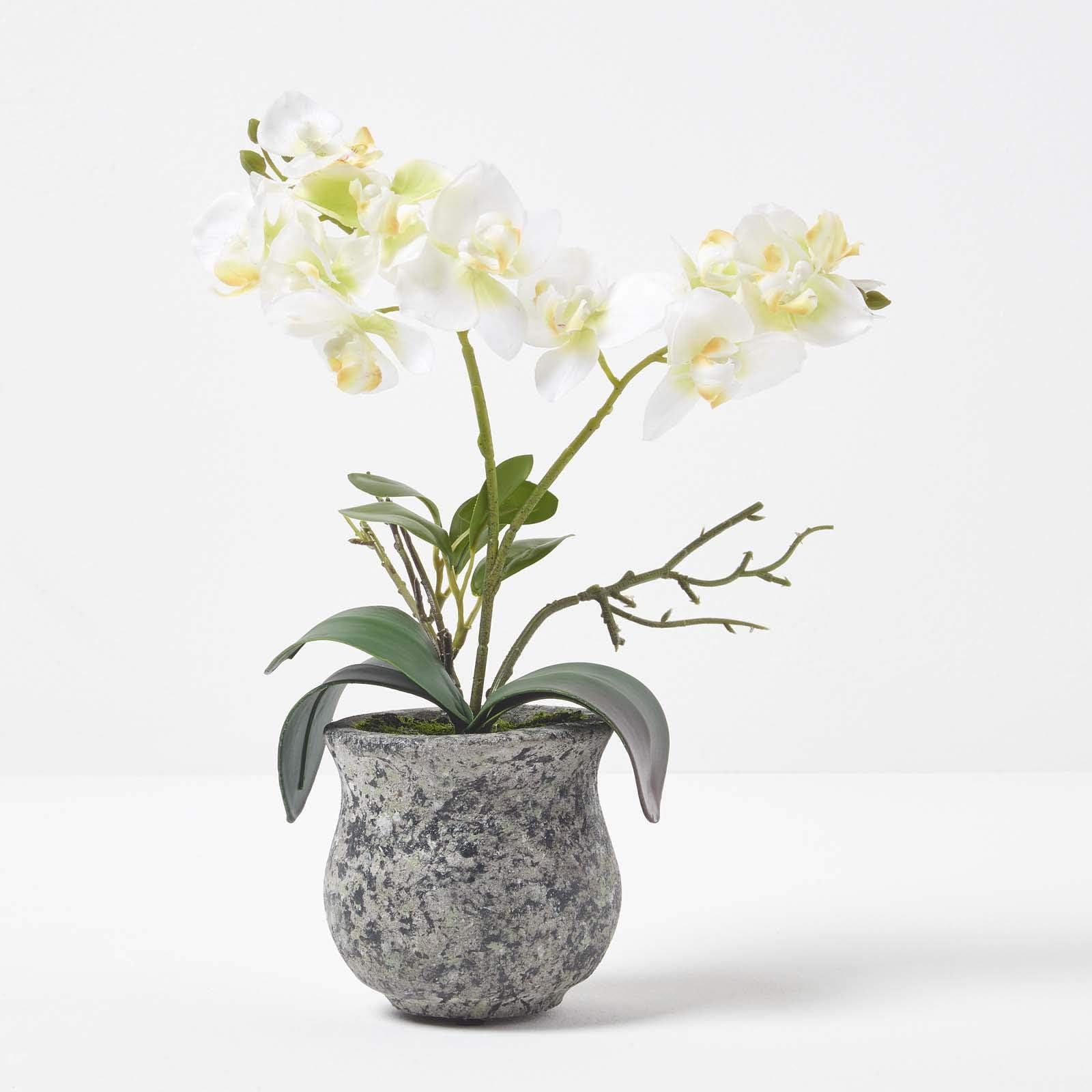 CB Imports Artificial Mini Orchid Potted 33 cm Pale Pink : Amazon.co.uk ...