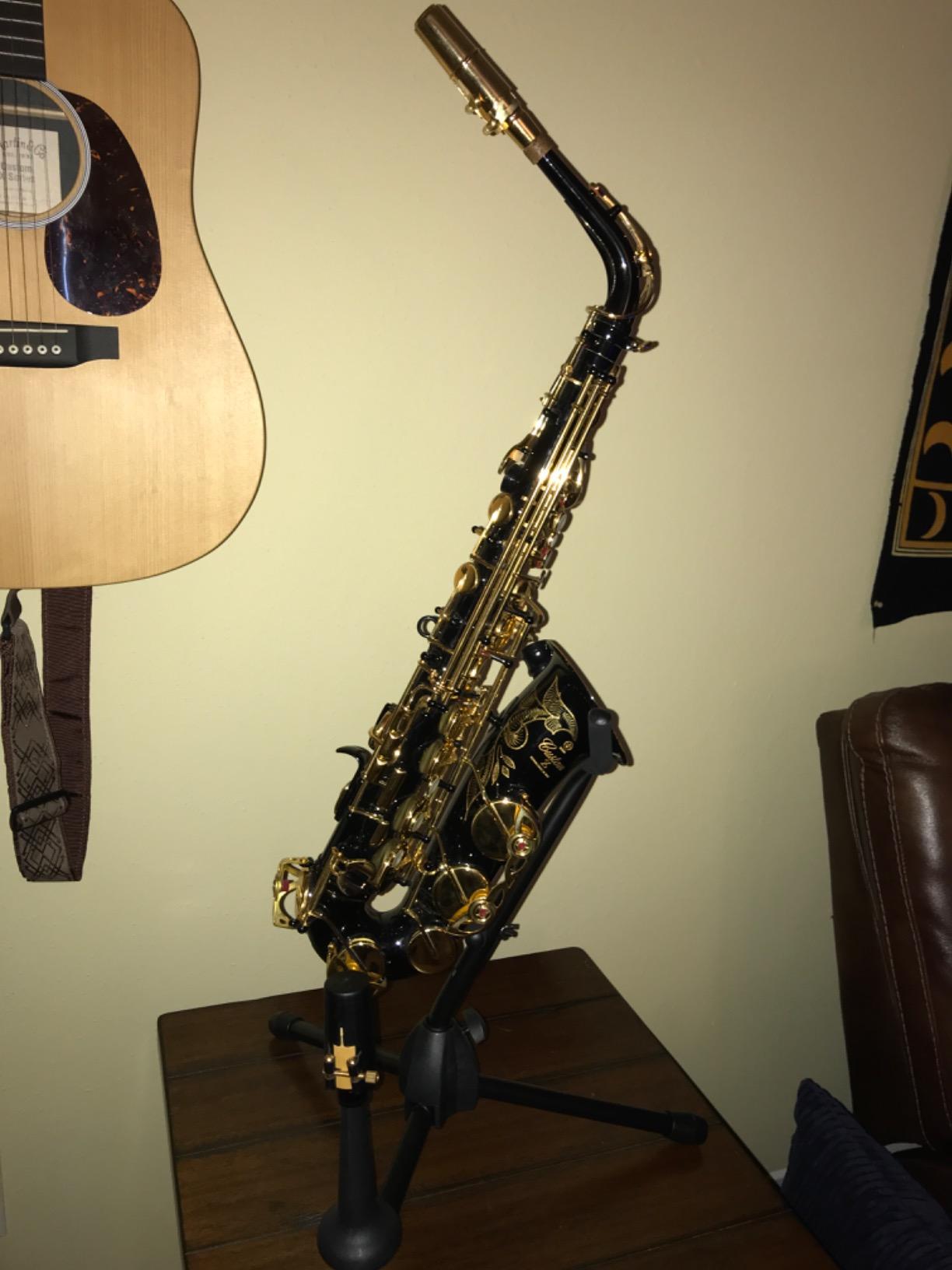 Amazon.com: Amazon Basics Sax Stand with Flute/Clarinet Peg ...