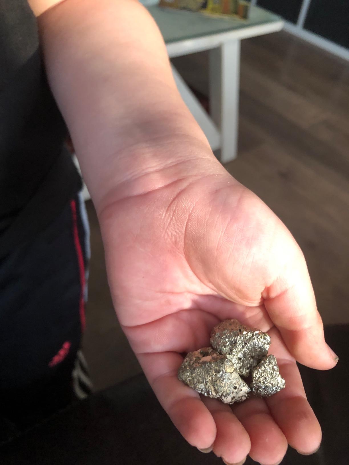 Amazon.com: Discover with Dr. Cool Dig for Gold Science Kit - Dig Up ...