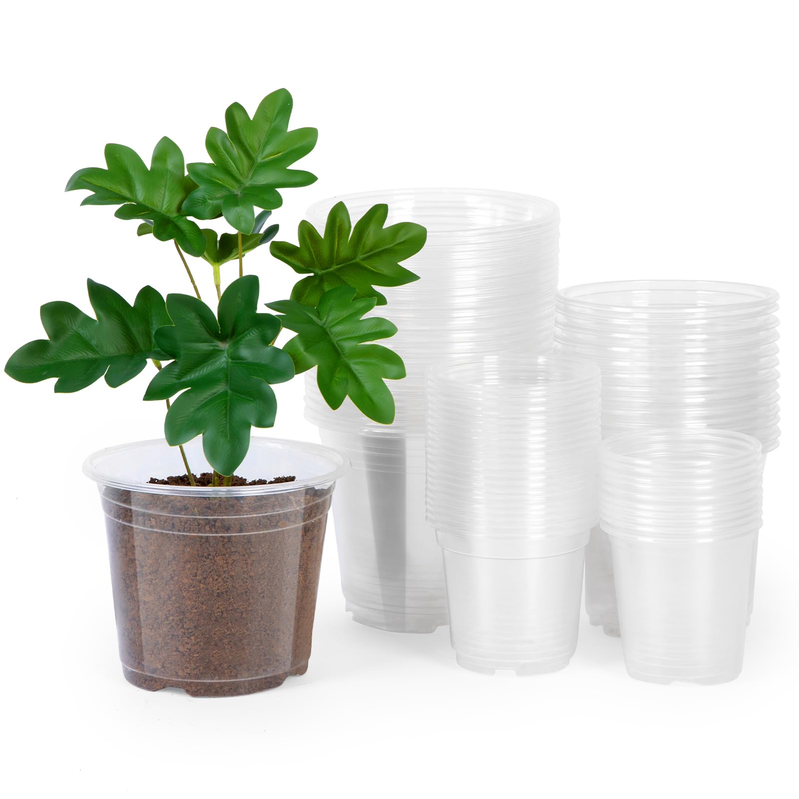 Amazon.com: JERIA 40 Pack 6/5/4/3.5Inch Clear Nursery Pots with ...