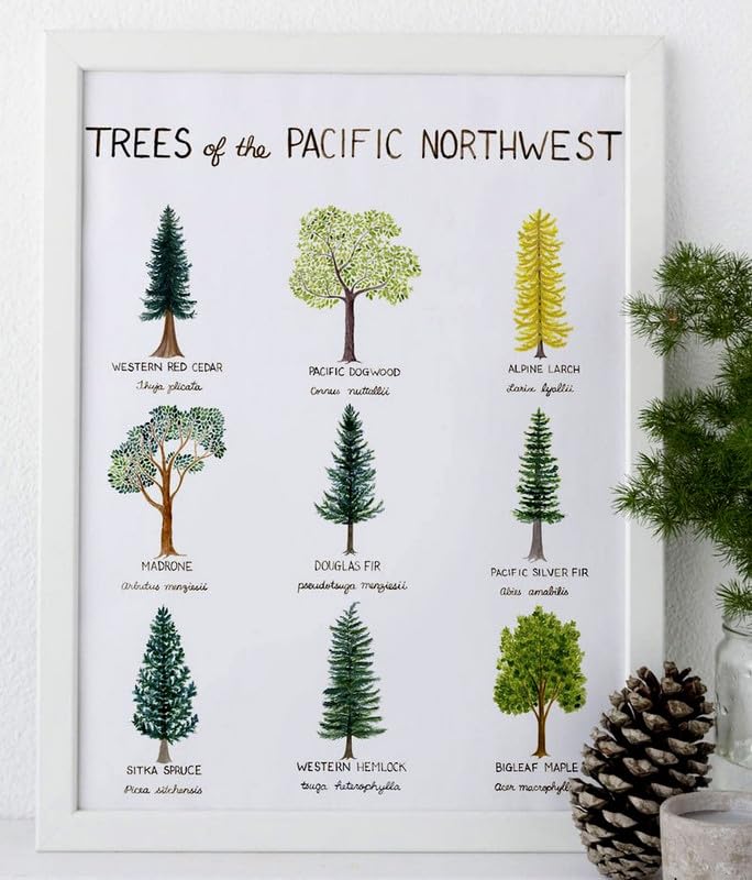 Pacific Northwest Tree Species