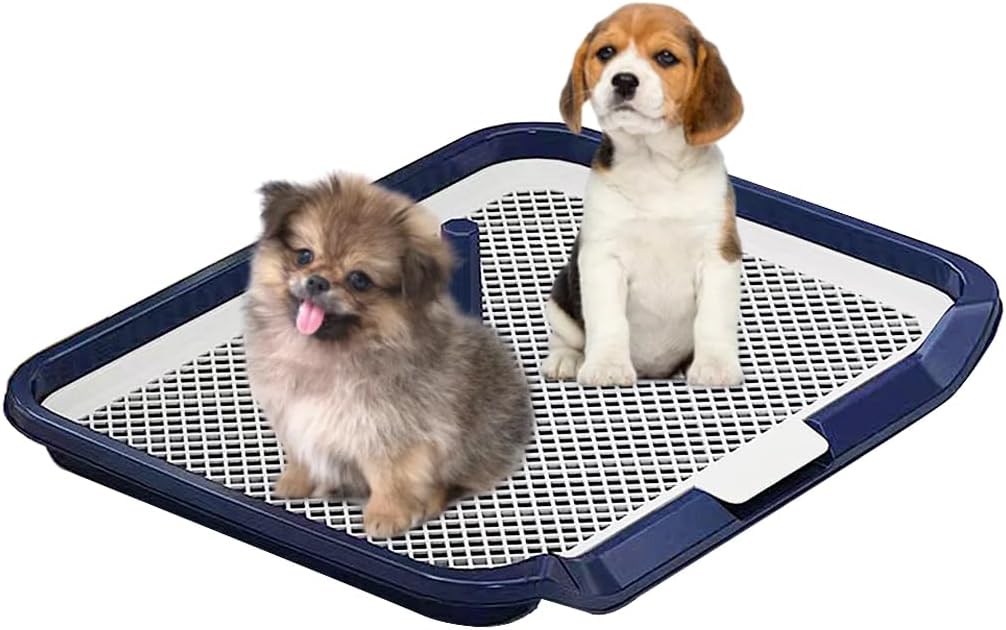 PATPAT® 19X 14 Inch Dog Poop Tray, Pee Pads for Dogs, Dog Pet Potty ...