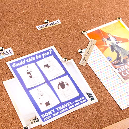 Snapklik.com : Yalis Thumb Tacks 500-count, 3/8-inch Steel Roundness ...