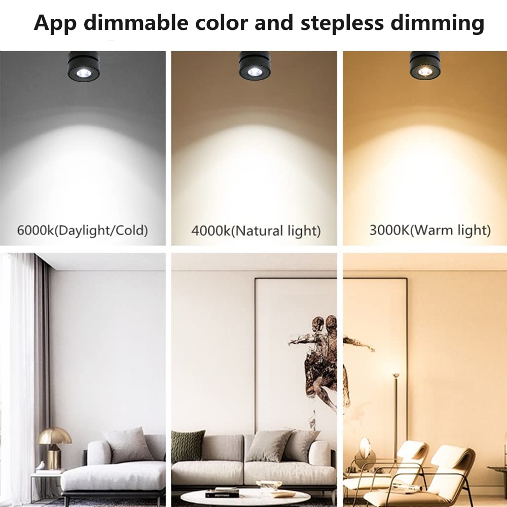 Art Spot Lighting Ceiling