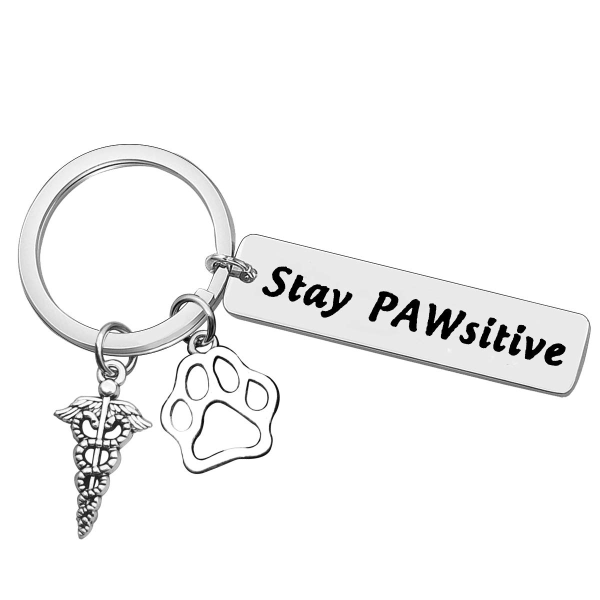 Amazon.com: Ciyumu Vet Techs Gift Veterinary Key Chain Veterinarian ...