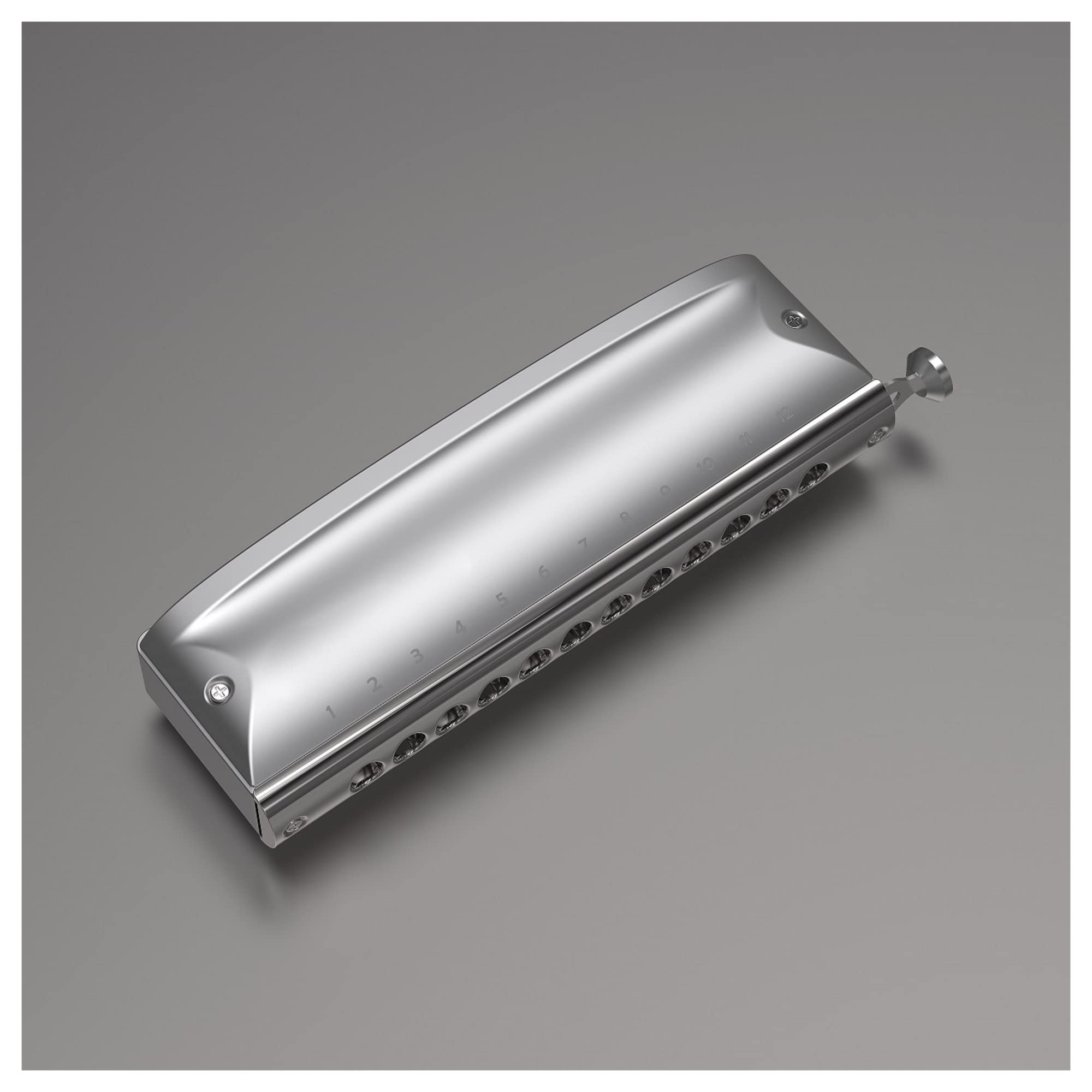 Amazon.com - Beginner Harmonica Harmonica 12-Hole Chromatic Harmonica ...