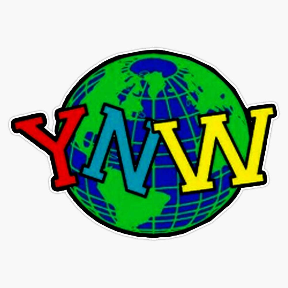 Amazon.com - Ynw Melly Sticker Vinyl Bumper Sticker Decal Waterproof 5"