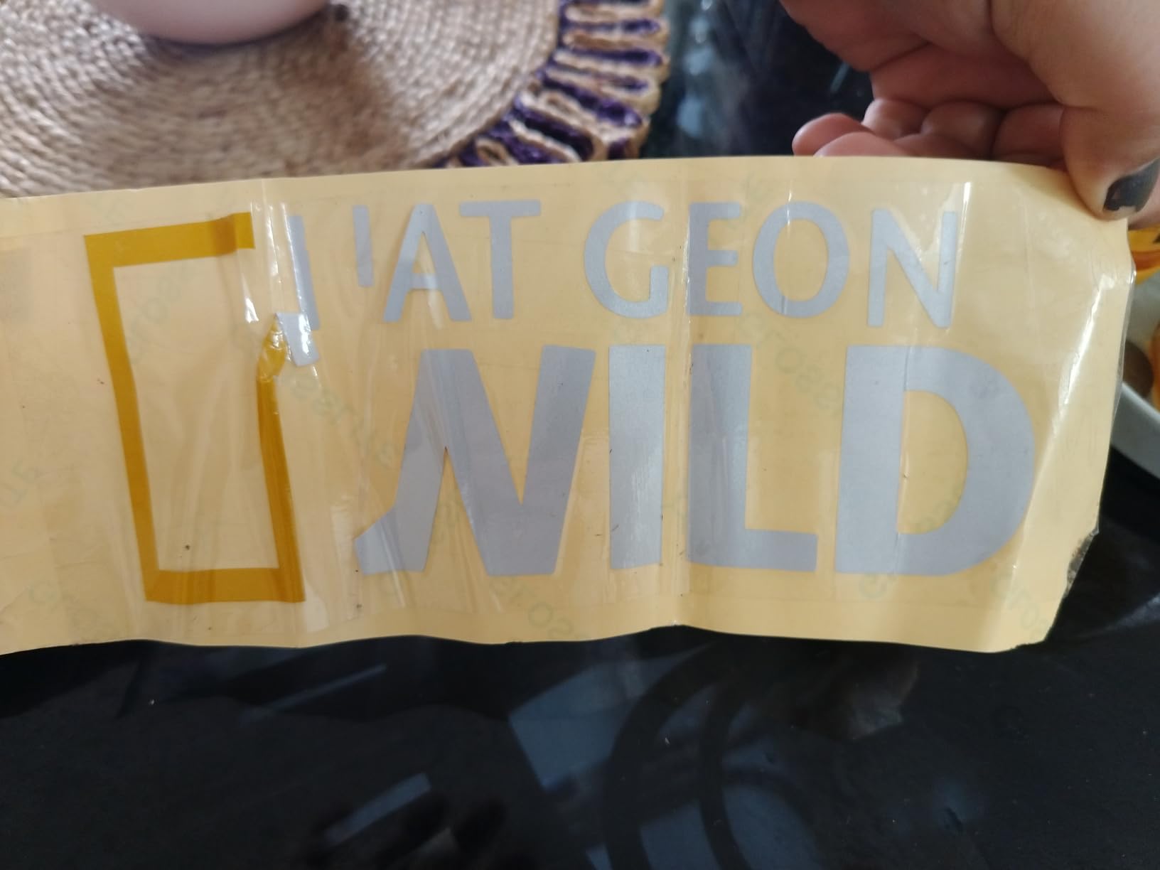 Solomon Enterprises NAT Geo Wild National Geographic Car Stickers for ...