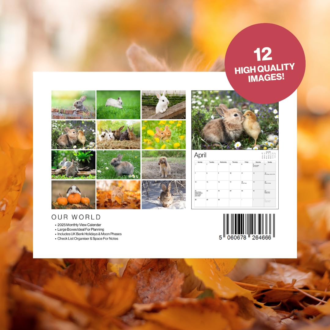 Our World Bunnies Rabbits Calendar 2025 UK – Large 12 Month 2025 ...