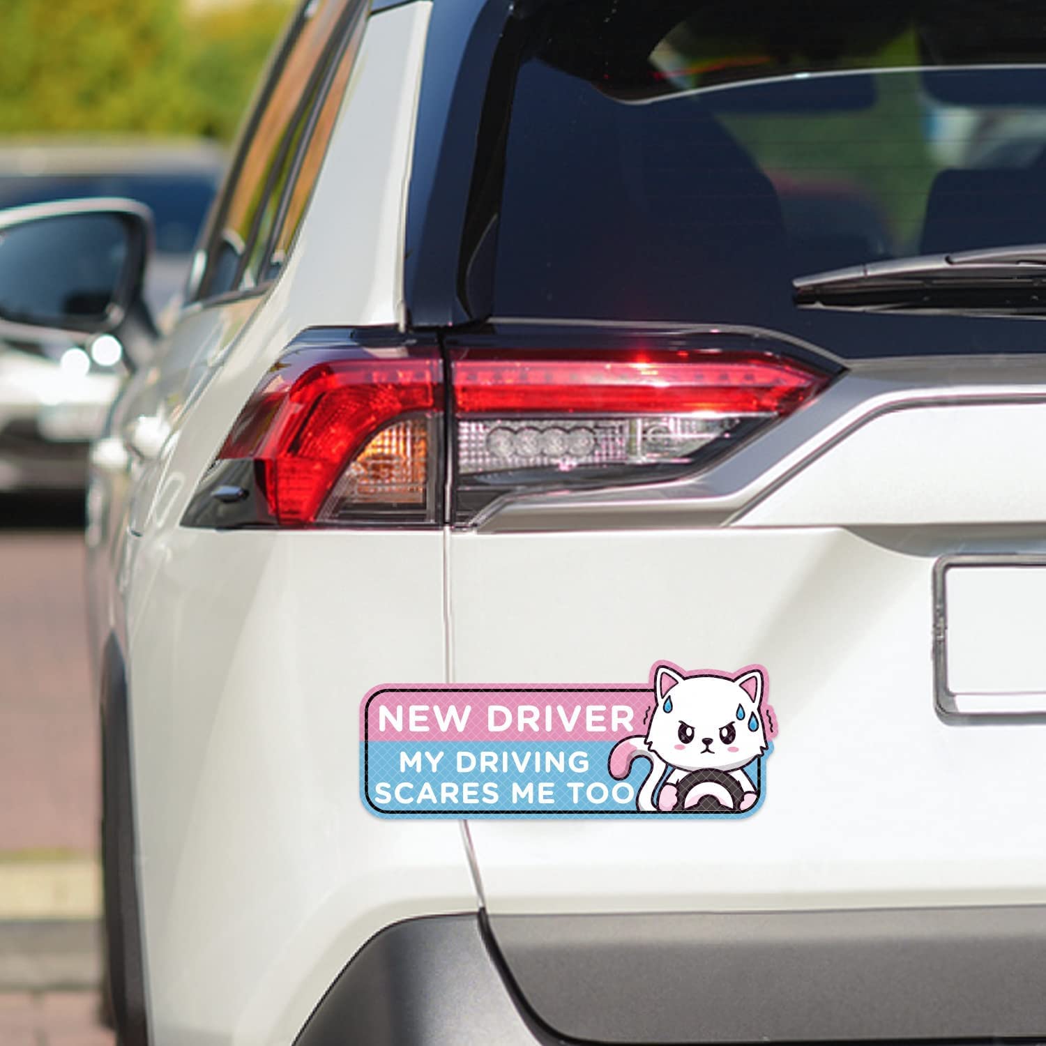 Cat Pattern Car Decals 3pcs Cute Cat Student Driver Magnetic Car ...