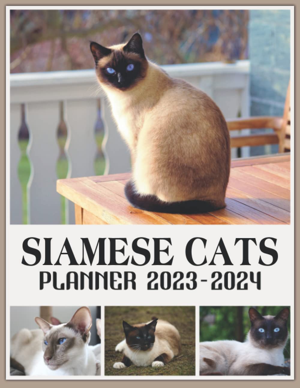 Amazon.com: Siamese Cats Planner Calendar 2023 - 2024: Siamese Cats ...