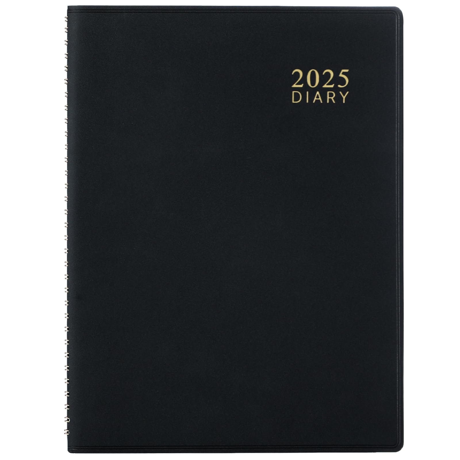 2025 Appointment Diary A4 Diary 2025 Week To View From | Desertcart Kenya