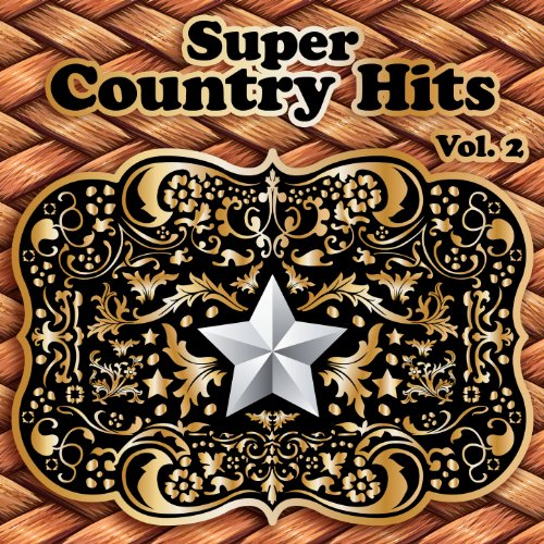 Amazon.com: Super Country Hits, Vol. 2 : Hit Co. Masters: Digital Music