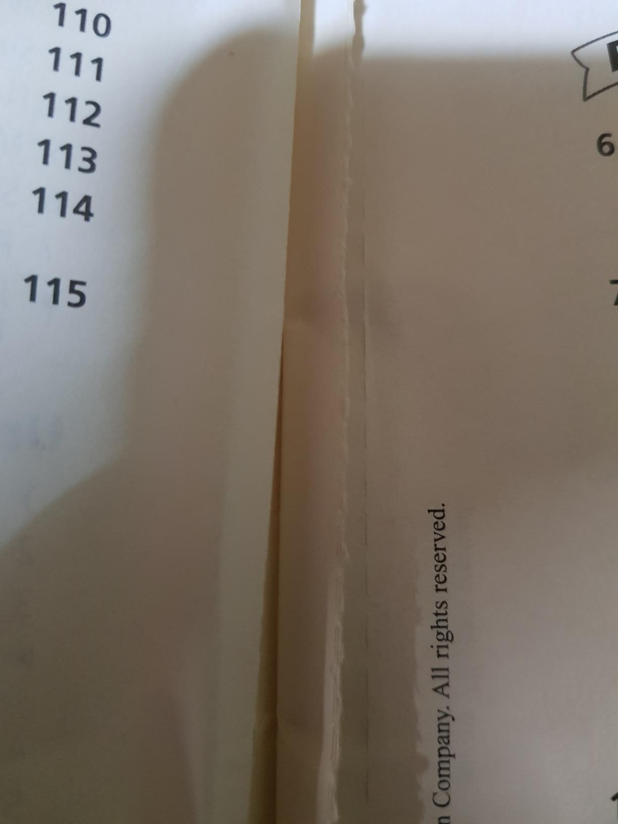 Houghton Mifflin English (Level 4): Shirley Haley-James, Shirley Haley-James: 9780395375471 ...