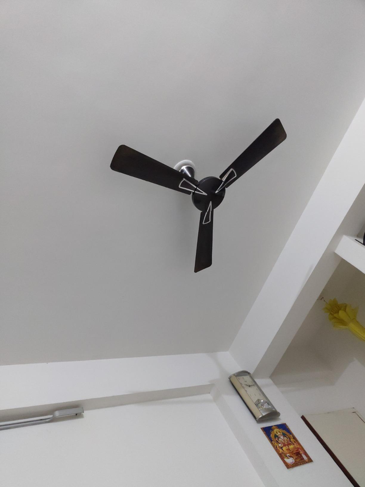 Buy RR Signature (Previously Luminous) Deco Premium Trigon 1200mm ...