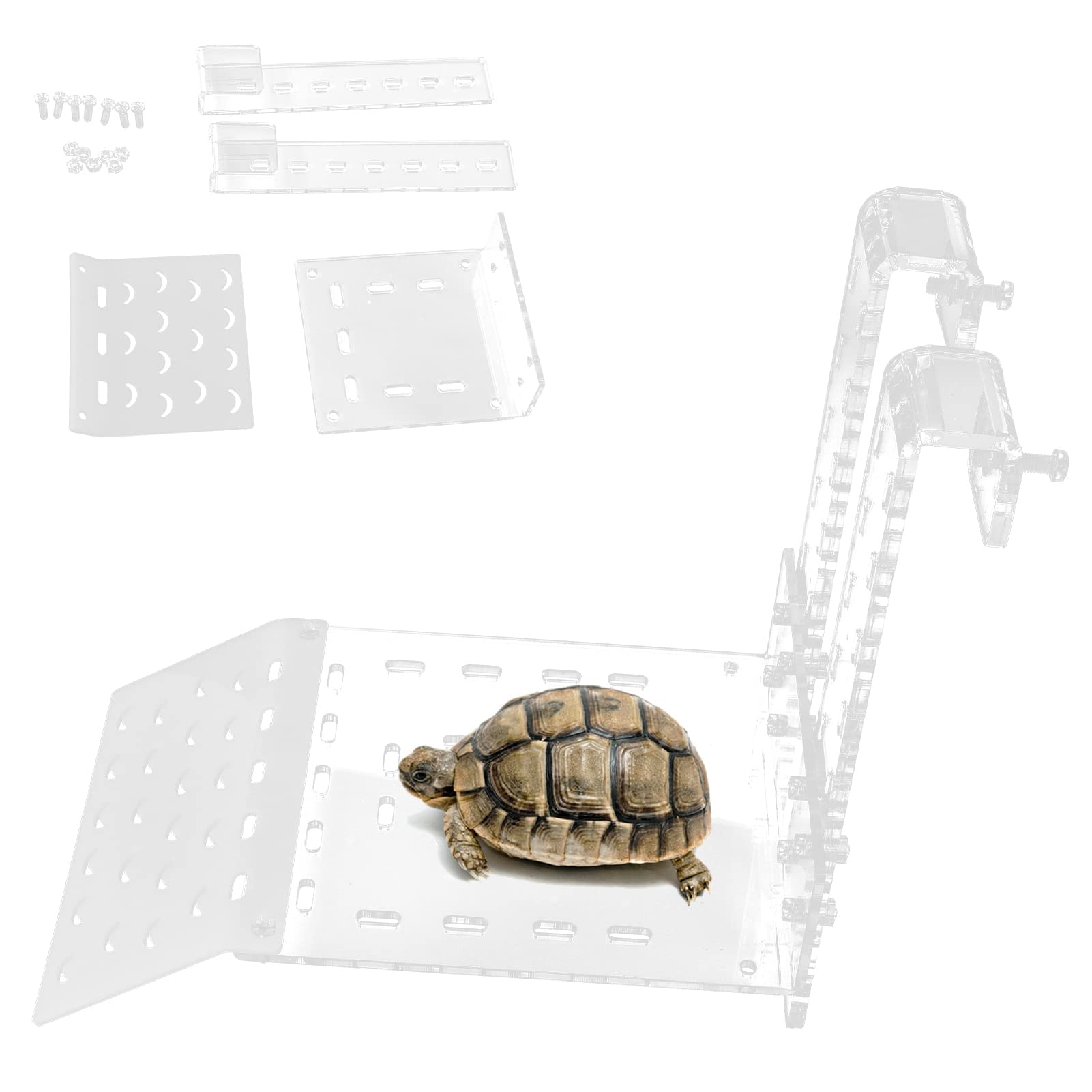 Amazon.com: Turtle Basking, Transparent Tortoise Resting Terrace ...